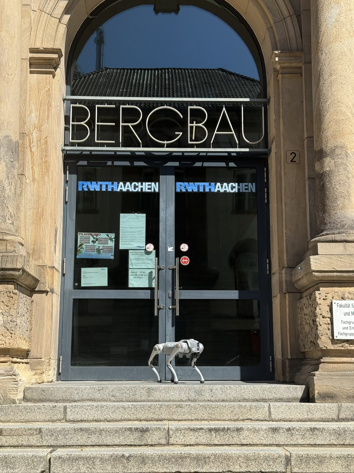 Robot Dog – MRE – EN